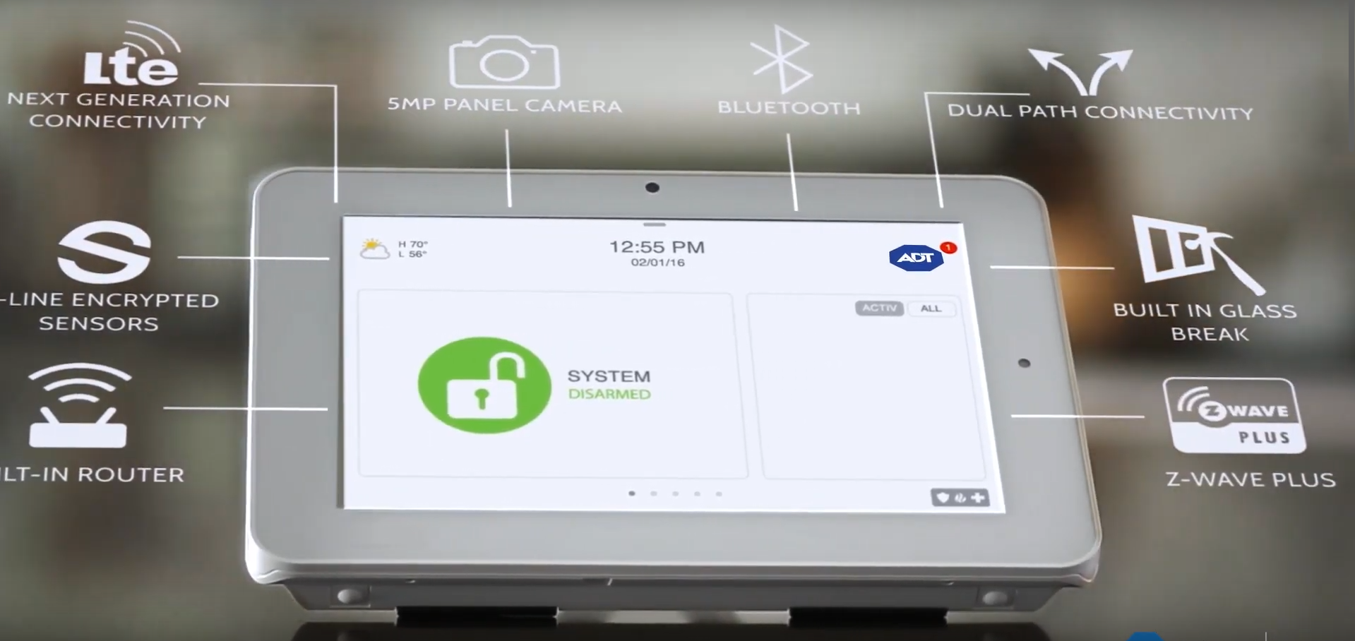 Home - SAFE HAVEN CAREERS